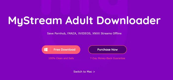 Best TNAFlix Downloader to Download TNAFlix Videos in Easy Steps