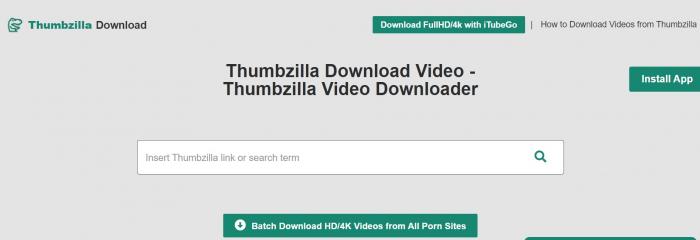 Best Thumbzilla Downloader Review